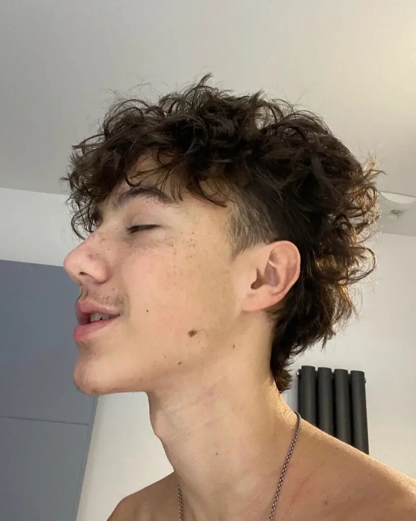 20 Stylish Haircuts for Boys with Curly Hair