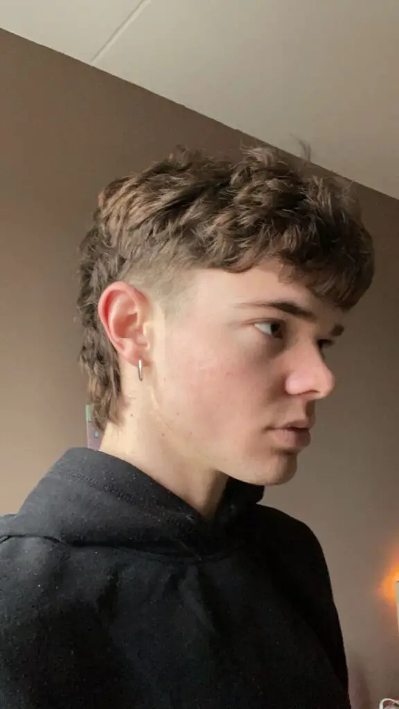 20 Trendy Mullet Haircuts for Boys